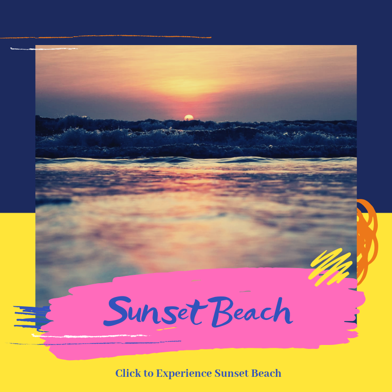 Jessica Wainwright - Live Love Brunswick Real Estate Sales & Marketing