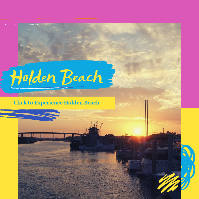 Jessica Wainwright - Live Love Brunswick Real Estate Sales & Marketing