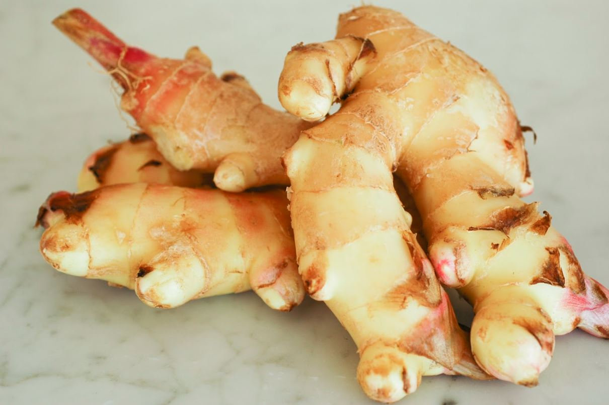 Carole Dunn, Master Gardener | DCMGV