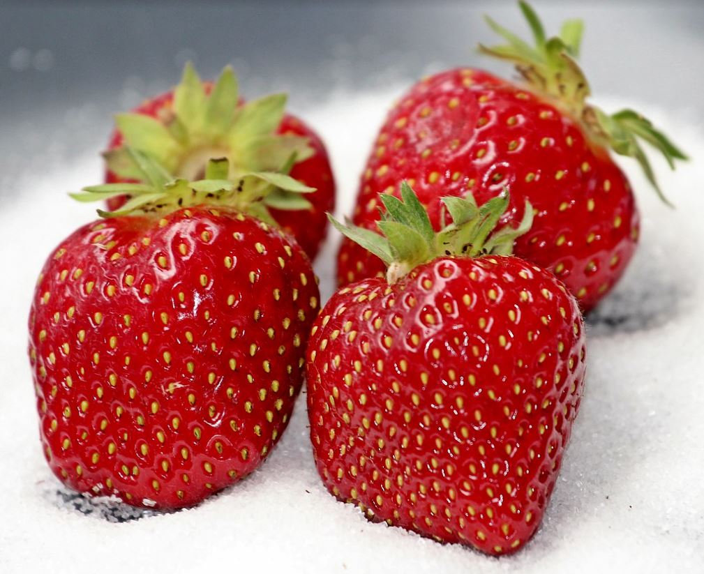 Trifecta of Small Fruits