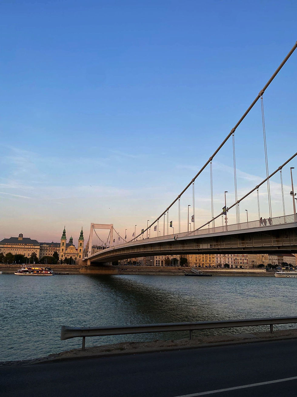 The wonderful bridges of Budapest