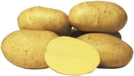 Sack of 10 kg Agria Potatoes | Bonfood