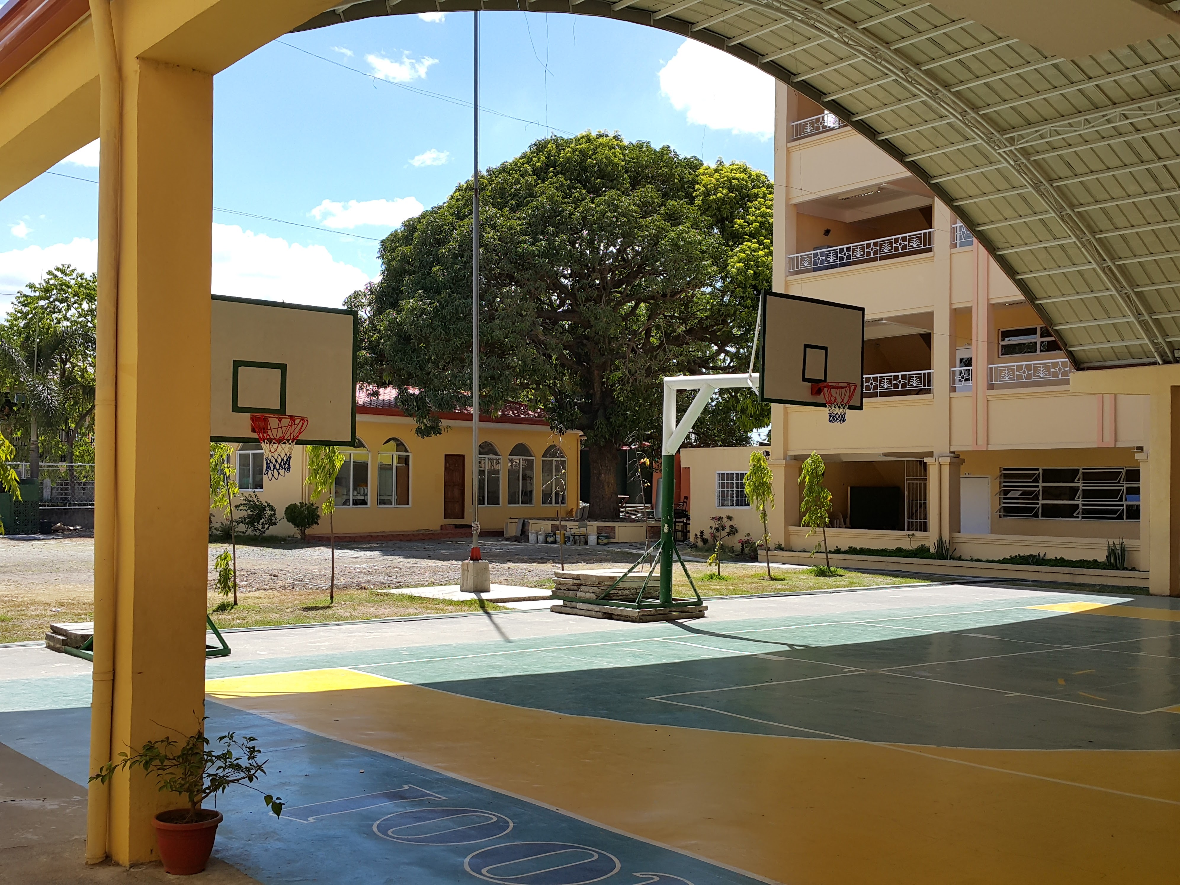 The Palmridge School │ About Us