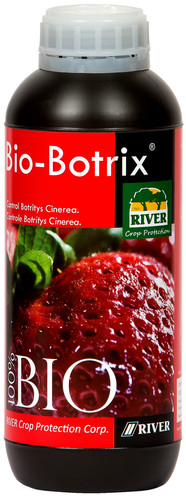 Bio-Botrix Biofungicida Botrytis. 1000 ml/1/4 gal.