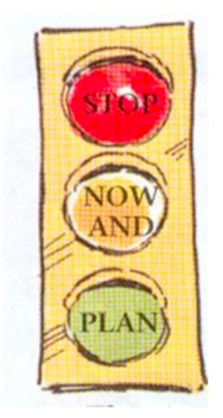 SNAP (STOP NOW AND PLAN)