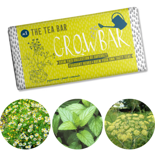 The Tea Bar - Growbar | so sustainable