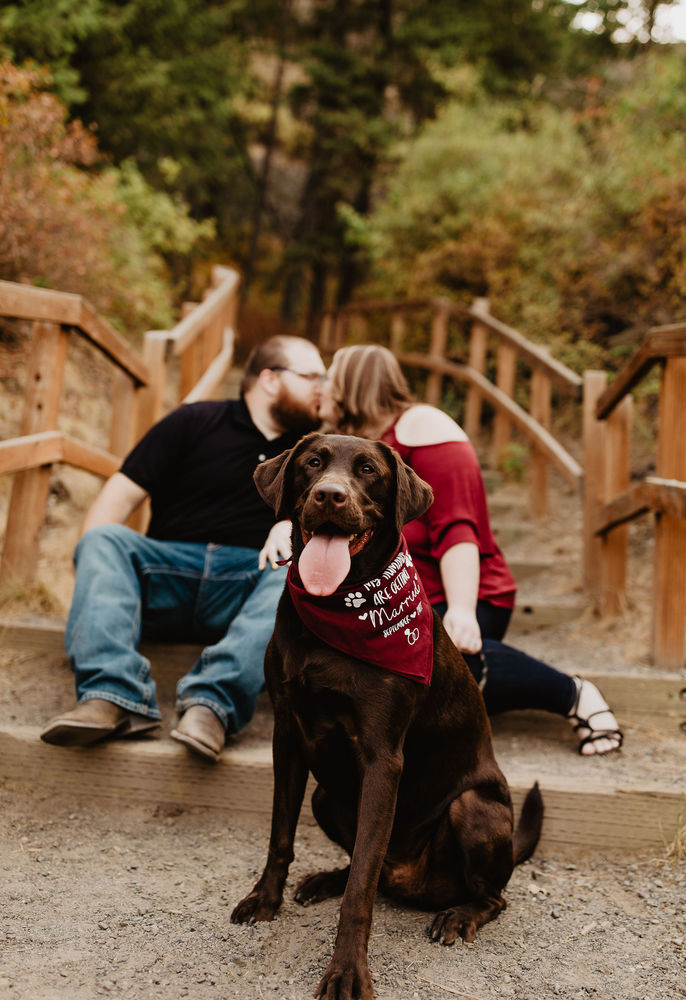 Family, Photos, & Furry Friends (or not so furry friends)