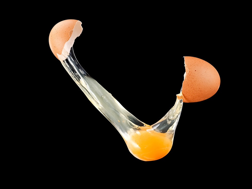 Eier