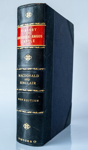 History of Aberdeen-Angus Cattle | TheScottishlandscape