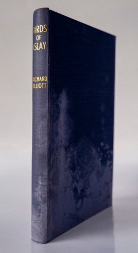 Birds of Islay | TheScottishlandscape