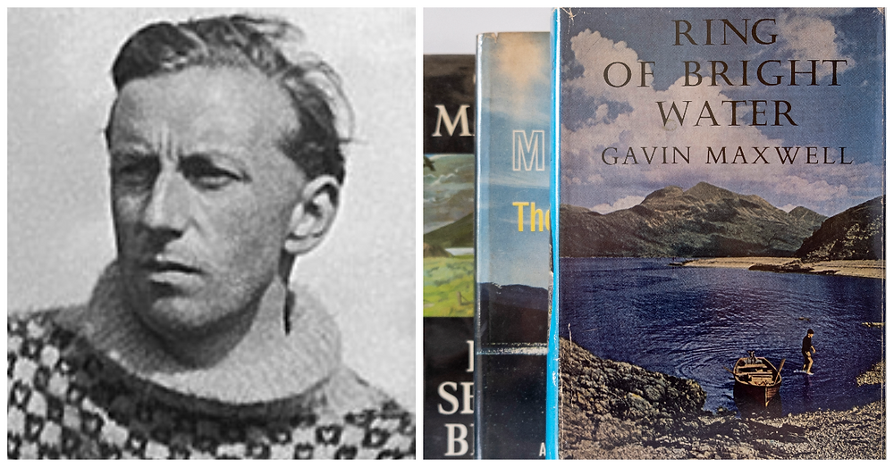 Gavin Maxwell's Otter Trilogy: A Literary, Cinematic, and Ecological Odyssey