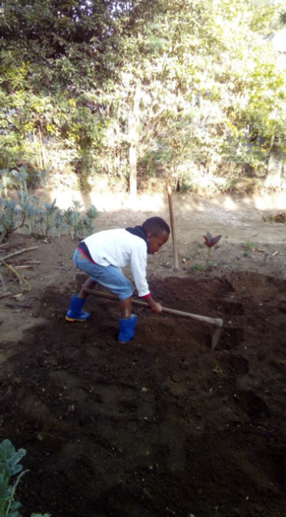 Core Values in the Time of Coronavirus: Bright spots from the Metis ...