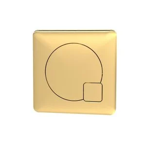 Brushed Brass Button Concealed Cistern | Carlisle DIY - Goole