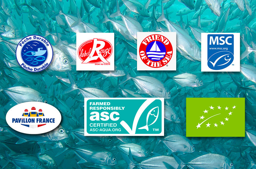 Focus sur les Labels Produits de la mer ! Pour Faire les bon choix