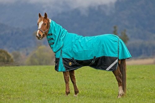 CQ Original Combo (discounted) | Cover Queen