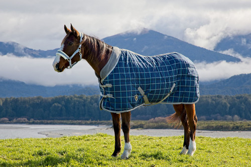 200gm Collared Doona | Cover Queen