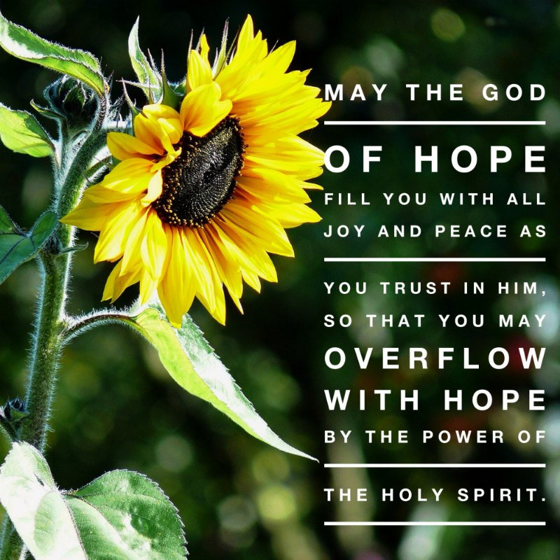 New Strength And Joy