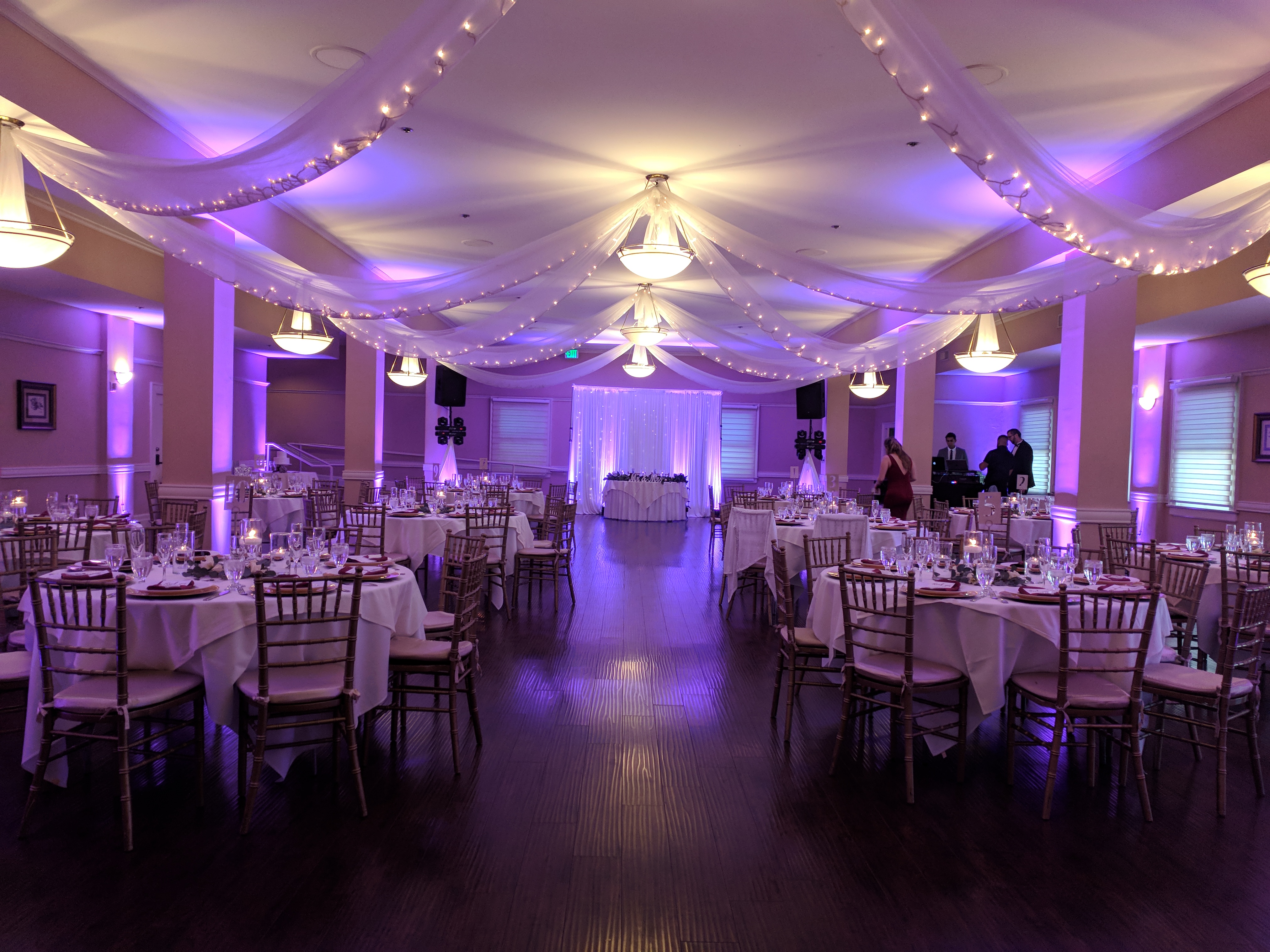 Gallery | springteagarden