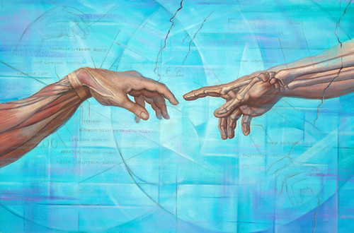 Anatomy Of The Creation Of Adam | Gallery Wrapped Giclée | Lee Casbeer ...
