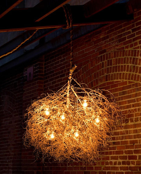 Same Tree | native chandelier | modern natural lighting