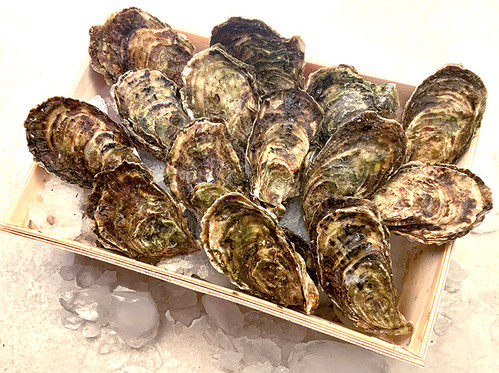 Huîtres “spéciales” la douzaine | Monsite