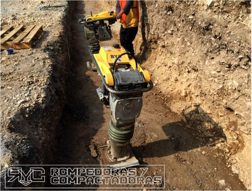 Renta de Bailarinas Compactadoras