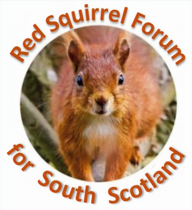 Whats the problem | Red Squirrel Forum for South Scotland