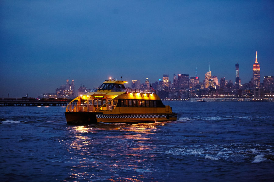 Gallery | The Shackman Group | New York