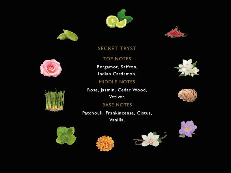 SECRET TRYST 100ml | rosinaperfumery