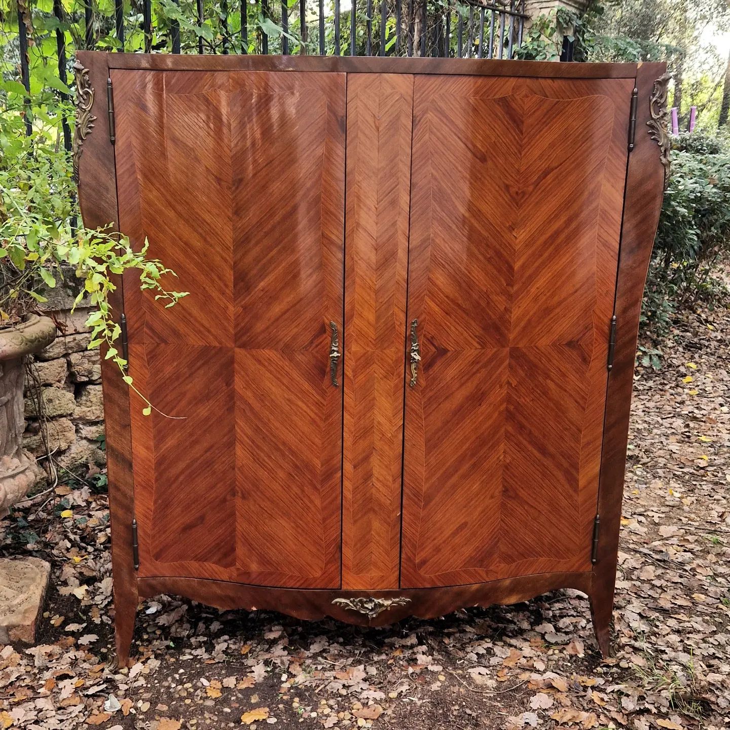 Antique Wardrobe French Armoire Antique Furniture French Vintage Rococo ...