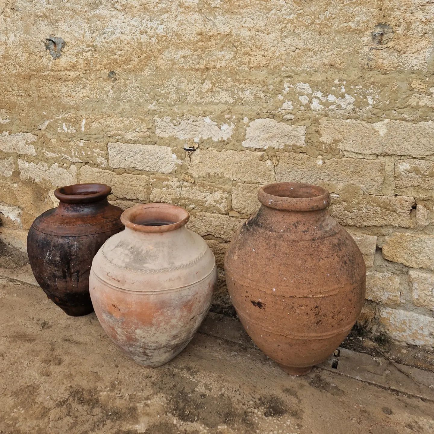 Antique Large Olive Oil Pot | Rocaille