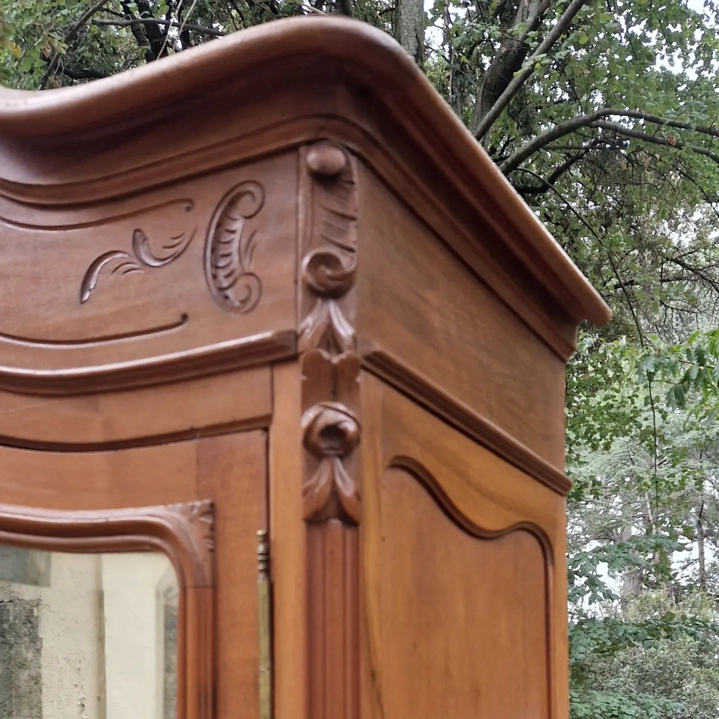 Antique French Wardrobe Armoire Antique Furniture French Vintage Rococo ...