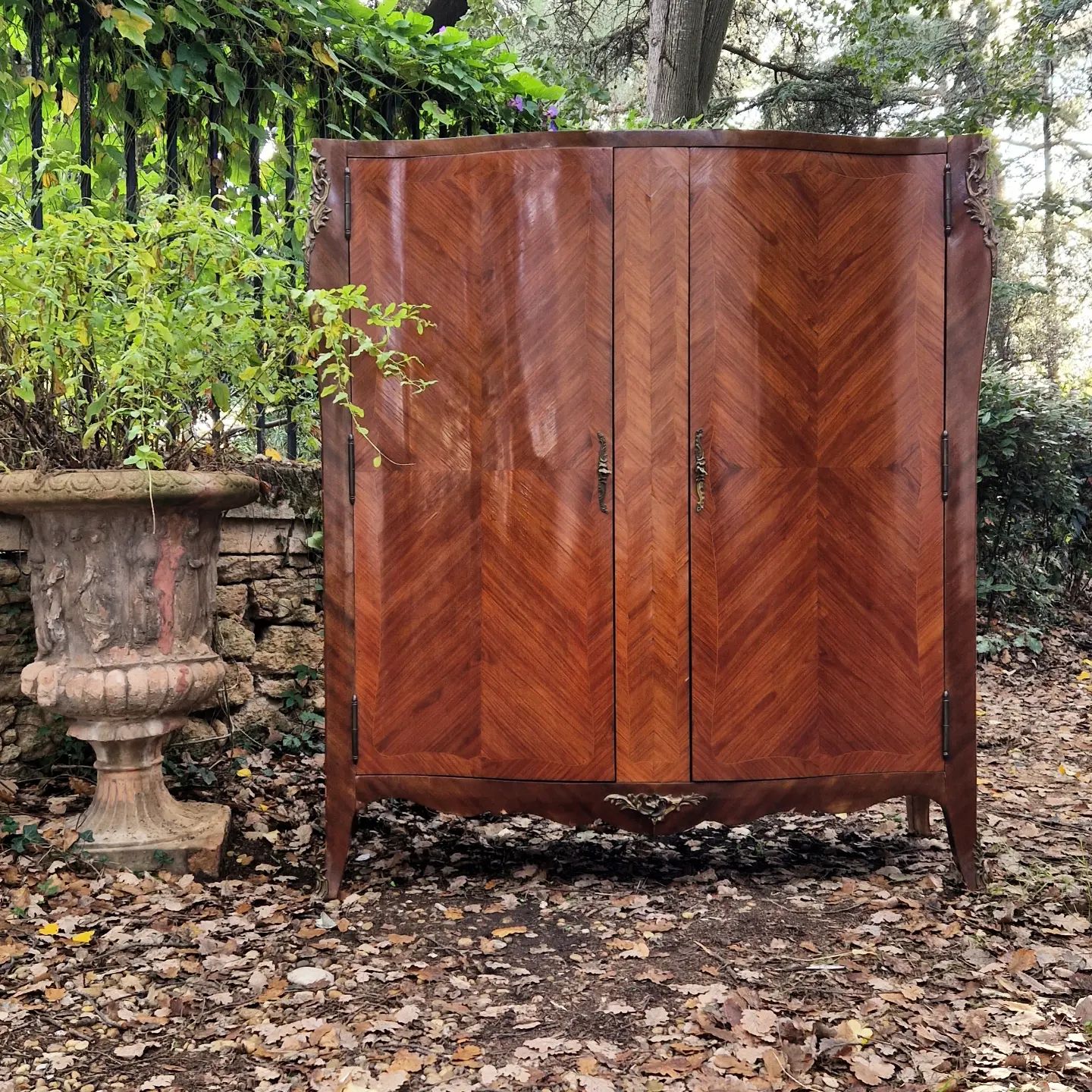 Antique Wardrobe French Armoire Antique Furniture French Vintage Rococo ...