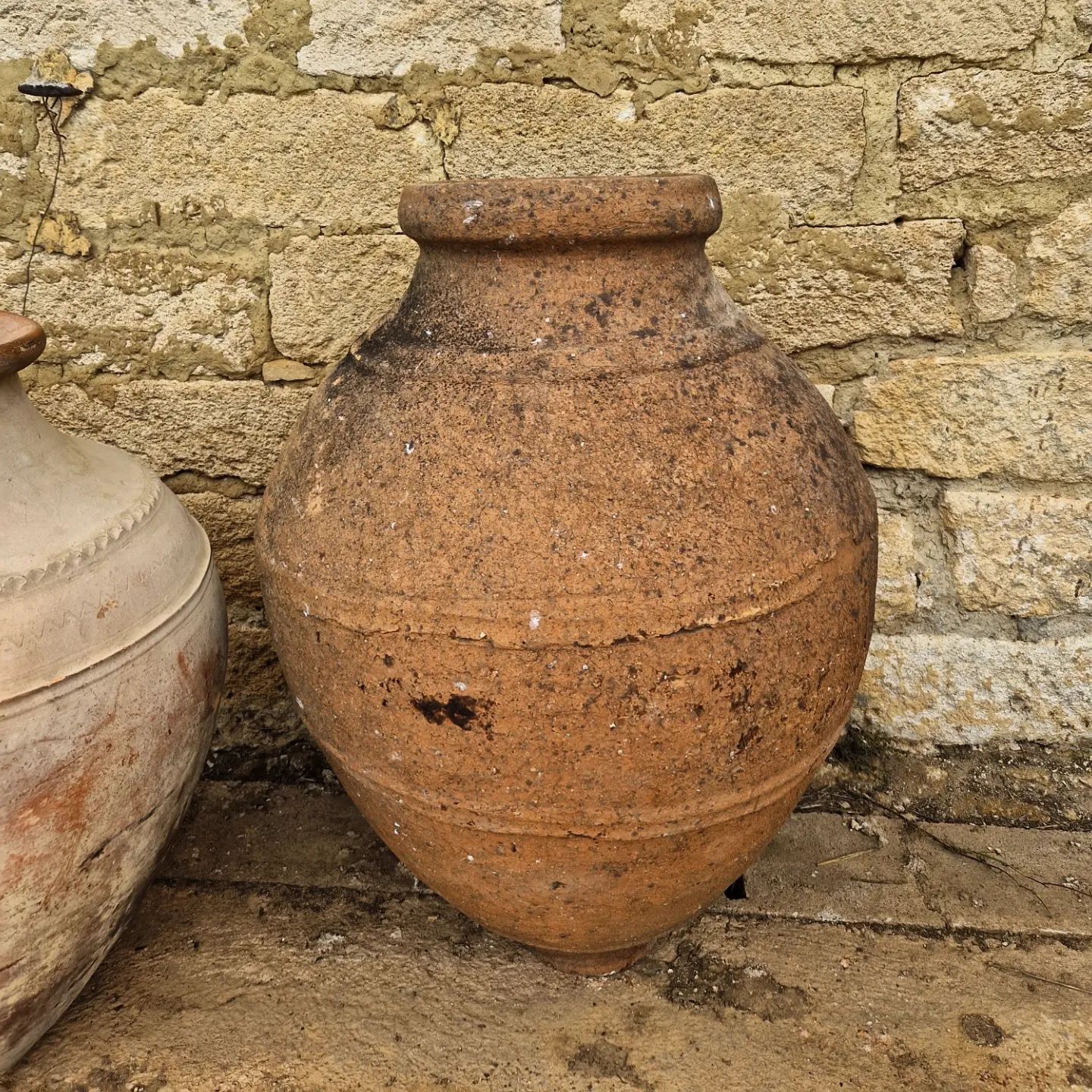 Antique Large Olive Oil Pot | Rocaille
