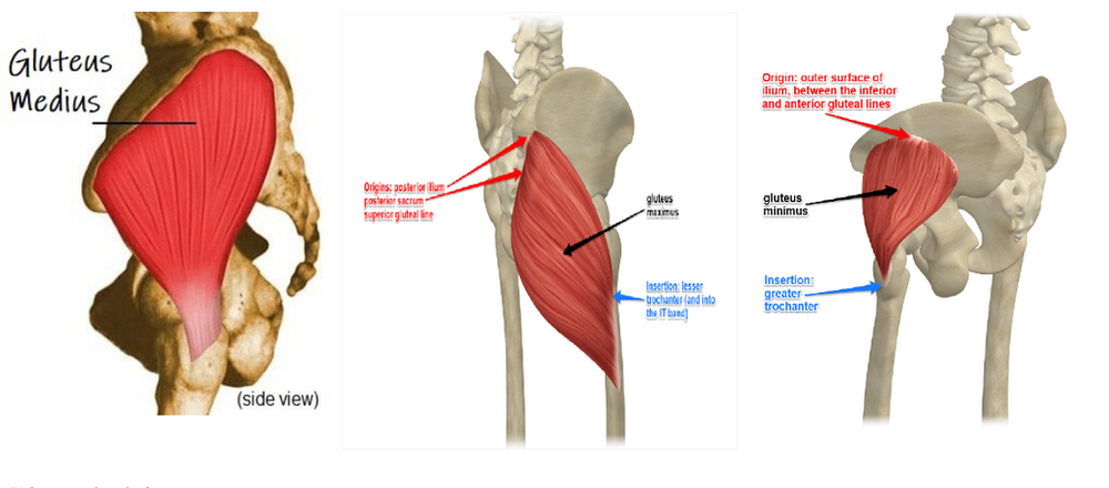 Gluteal Amnesia or Dead butt syndrome