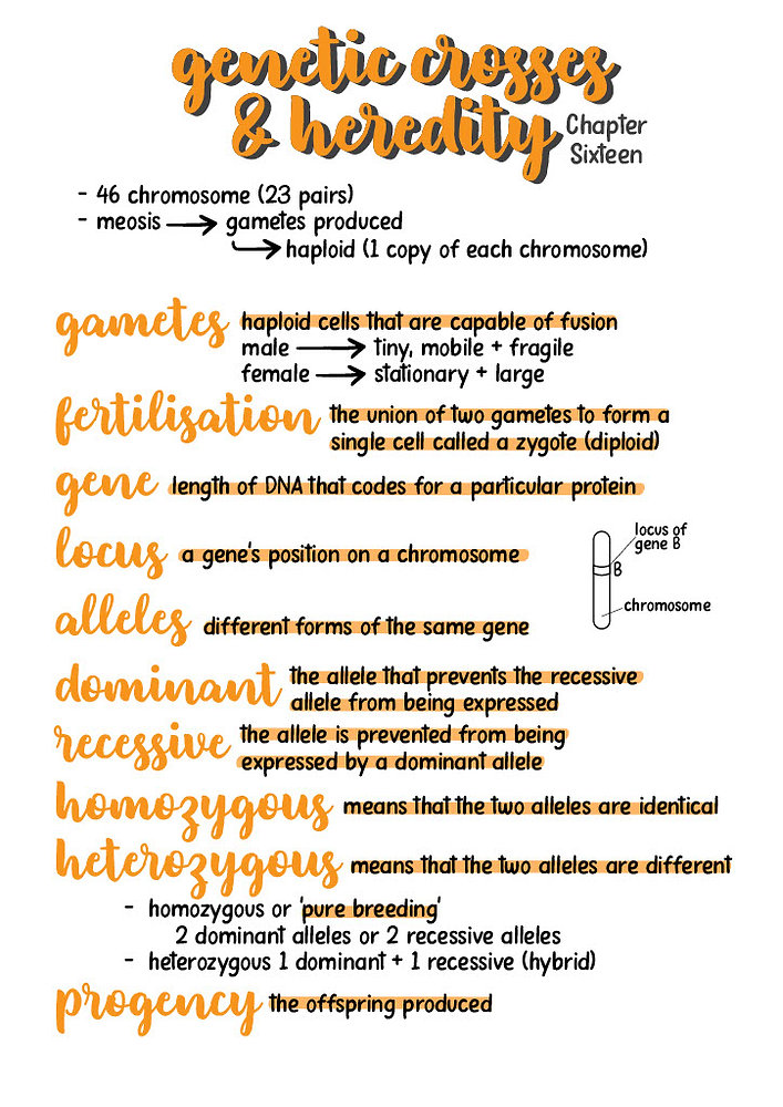 Leaving Certificate Biology Notes: Genetic Crosses and Heredity