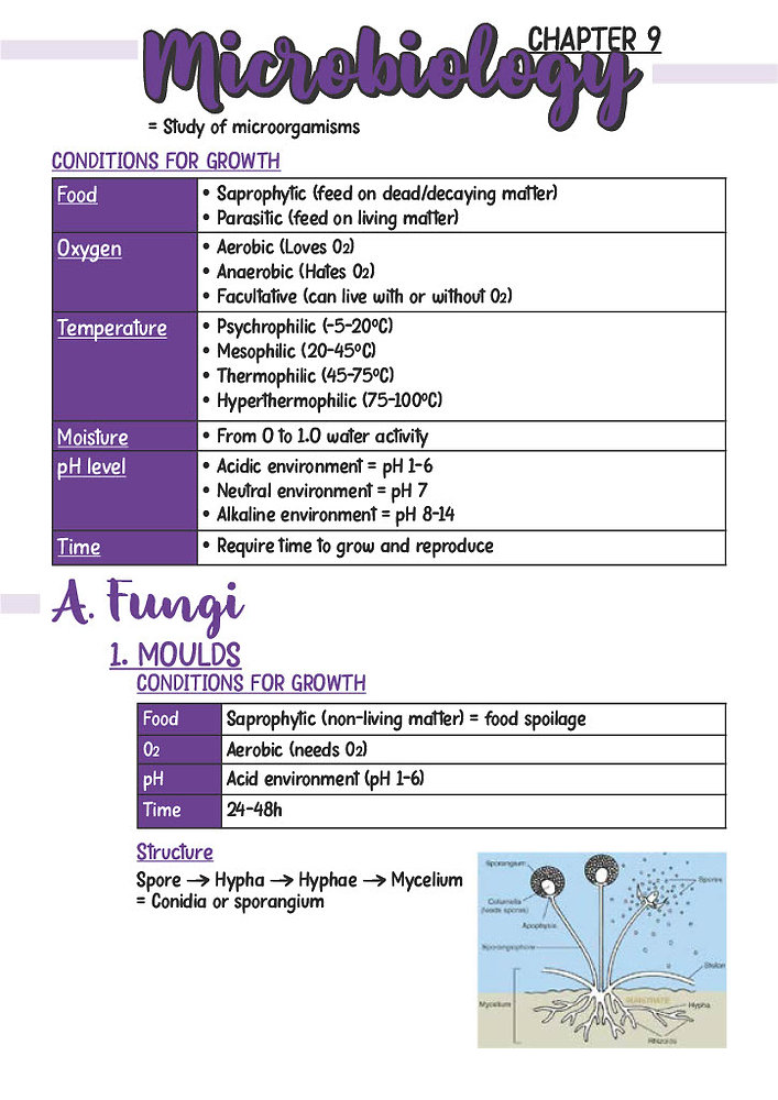 Home Economics Microbiology Notes for Leaving Cert Students