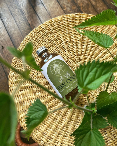 Seasonal Fire Cider - Nettle | Mysite