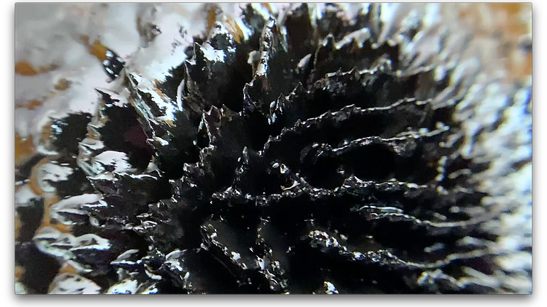 Making Ferrofluid | Clayton's Exploration Station