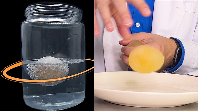 Bouncing Eggs! | Clayton's Exploration Station