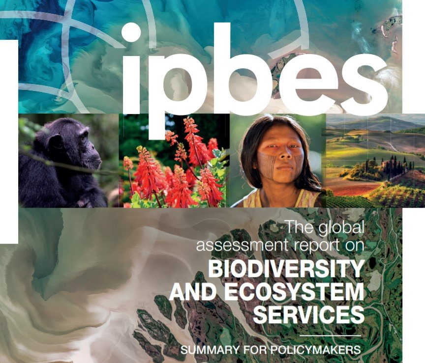 Published Research Ipbes Global Assessment
