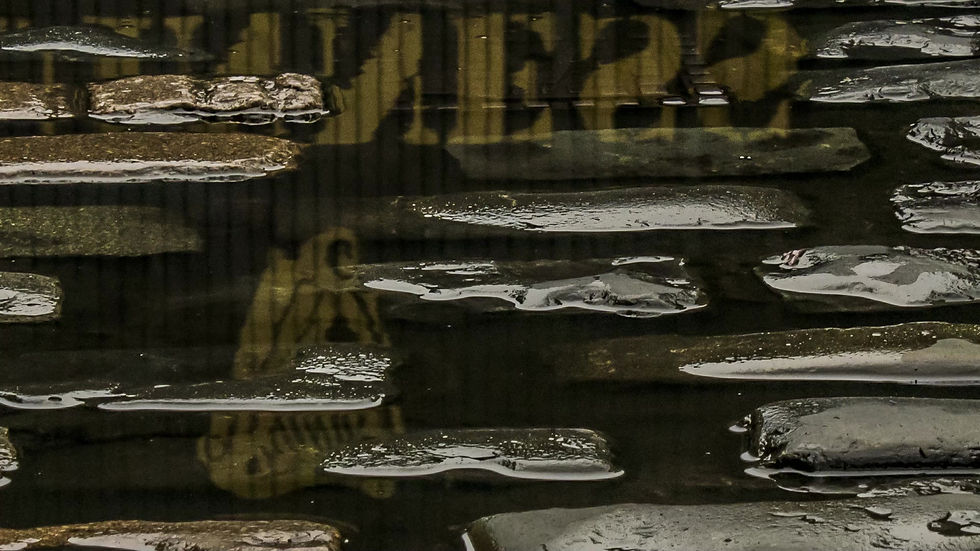 EBN Techcamp | #EBNTechcamp24