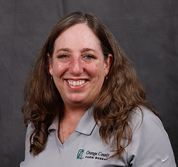 Board of Directors | Ocfm