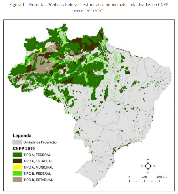 Conservação da Amazônia através do Plano de Manejo Florestal Sustentável