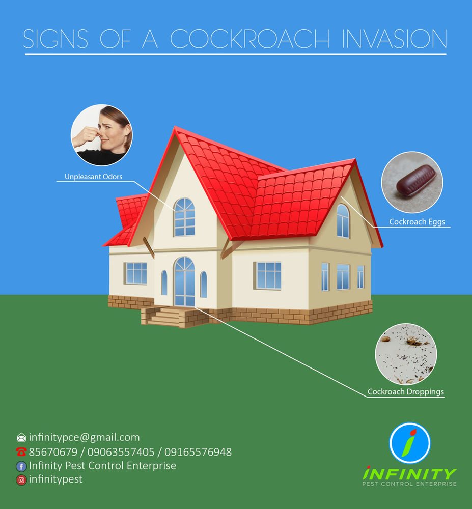 SIGNS OF COCKROACH INVASION