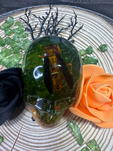 Wasp And glass Skull | Basement Bratz Art