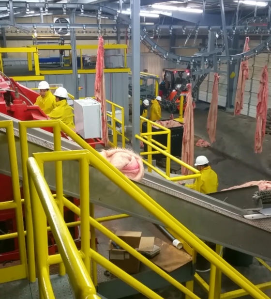 Sow Skins | AJHollander Products