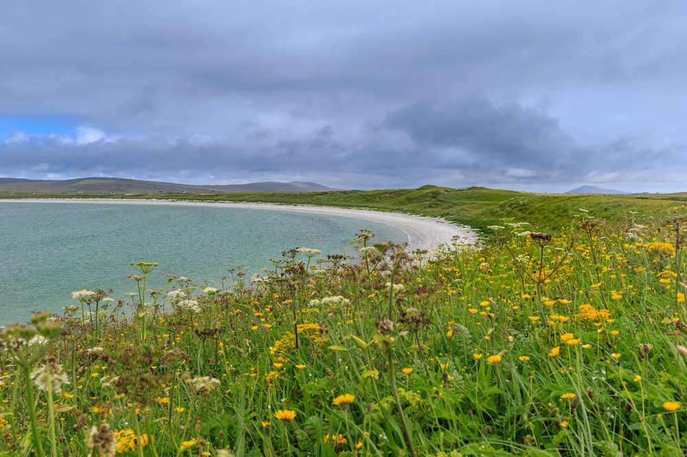 The Machair