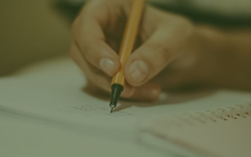 Elite Writing & College Application | CollegeNinjaAI