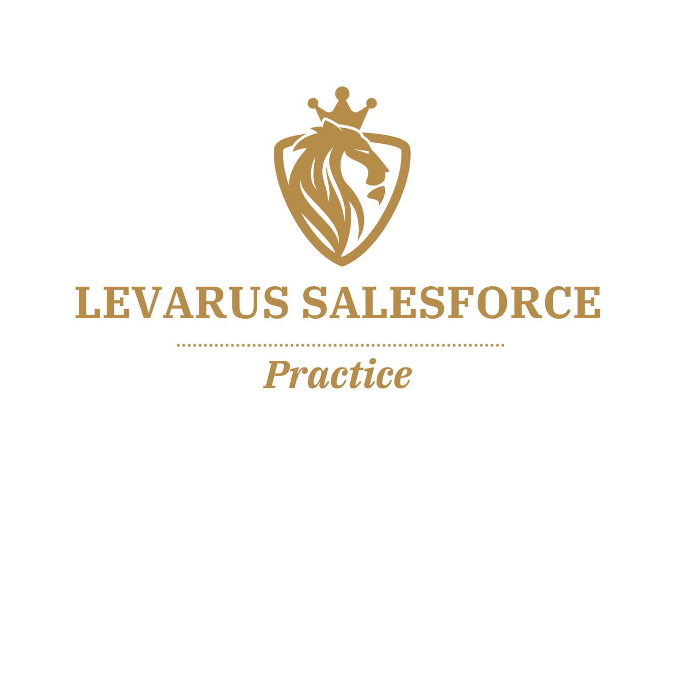Levarus Salesforce Practice | Best Salesforce Partner